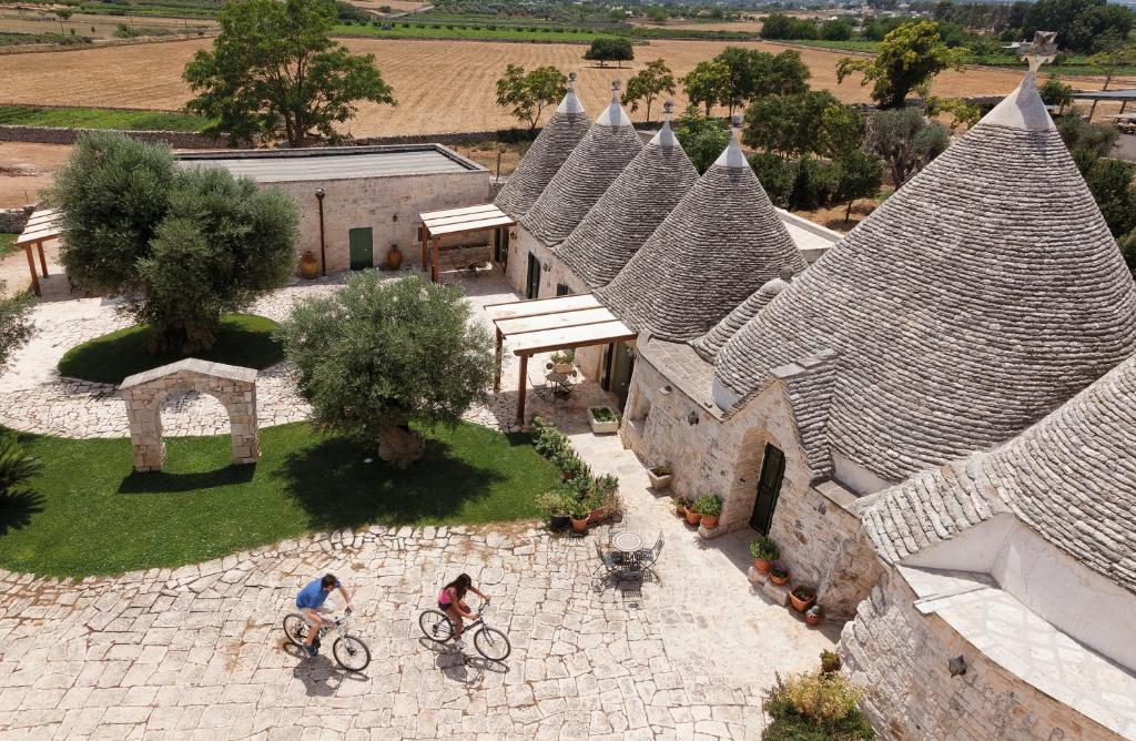 Dr. Cathy Ripley Greene, Medium